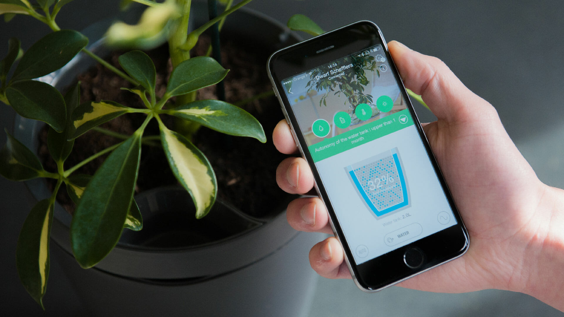 Parrot Pot et Flower Power - nodesign.net - Le pot de fleur intelligent